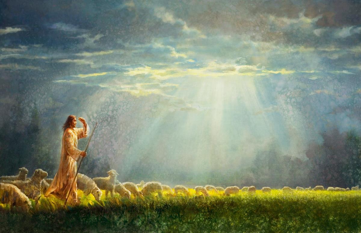 One Fold and One Shepherd by Yongsung Kim jesus christ with flock of ...